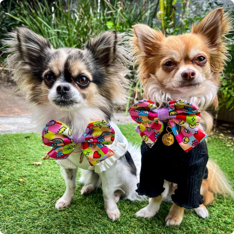 Free Self Care Mental Health Journal Help - Reggie and Friends