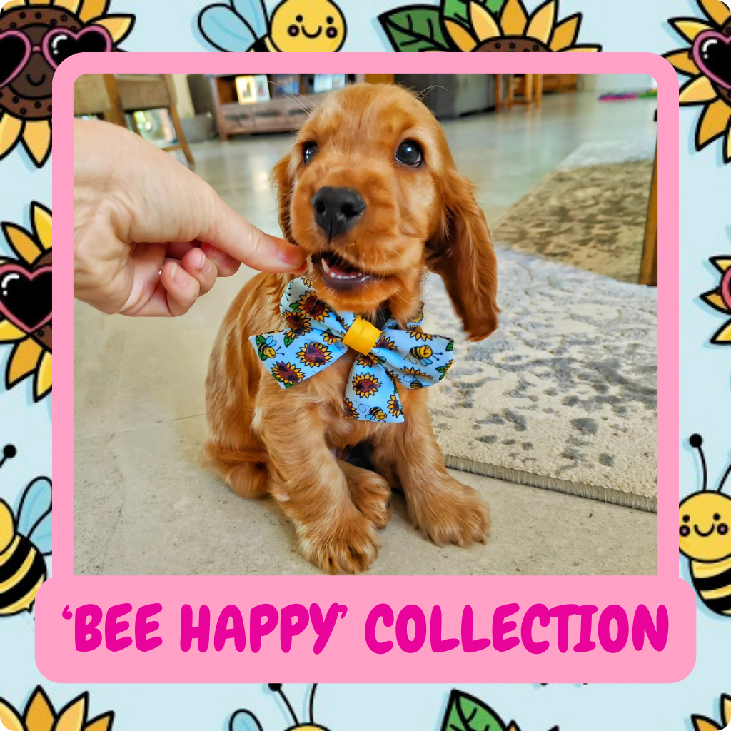 Pet Size Chart | Measure your pet correctly for our products - Reggie ...